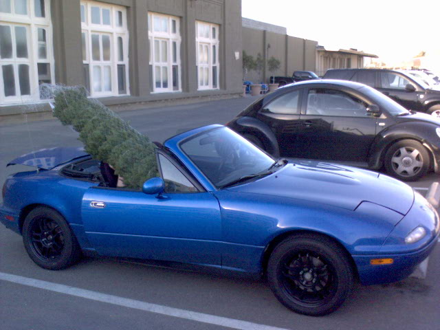 Brought the tree home! - MX-5 Miata Forum