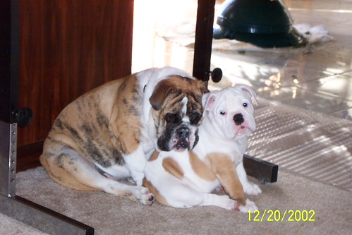 Sleepy Boo and Sleepy Clovis (pics)