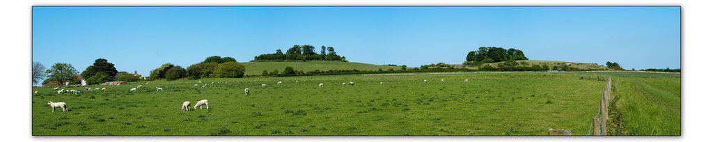 Wittenham Clumps | PhotoDelusions