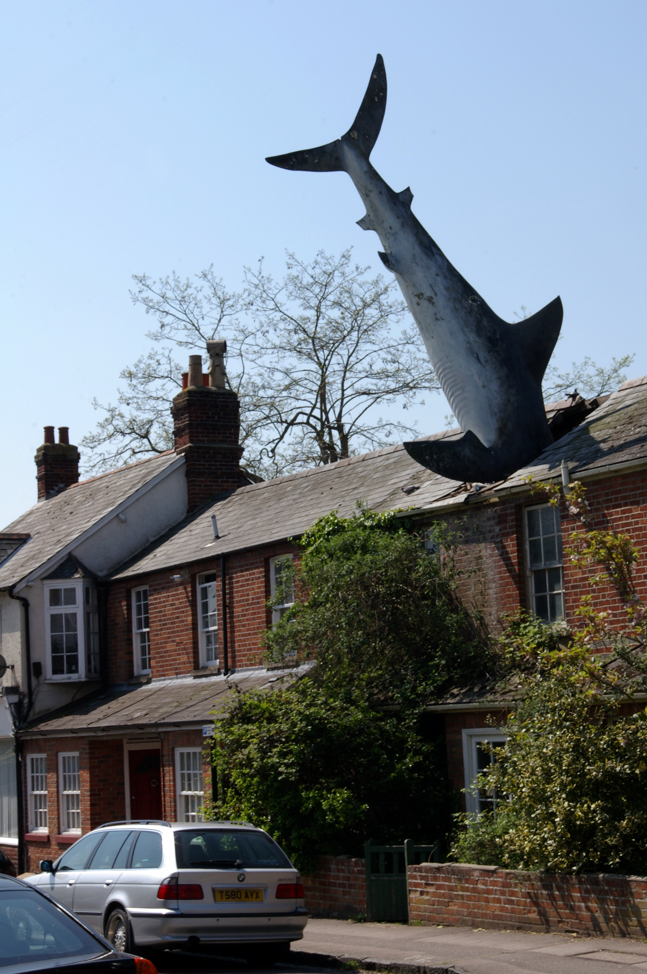 In my city, there's a building with a salmon lodged in it. : r ...