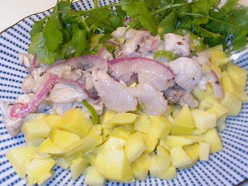 Filipino ceviche of Spanish mackerel | stel