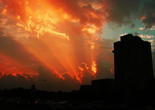 Dying Sun | Pakistani Pictures