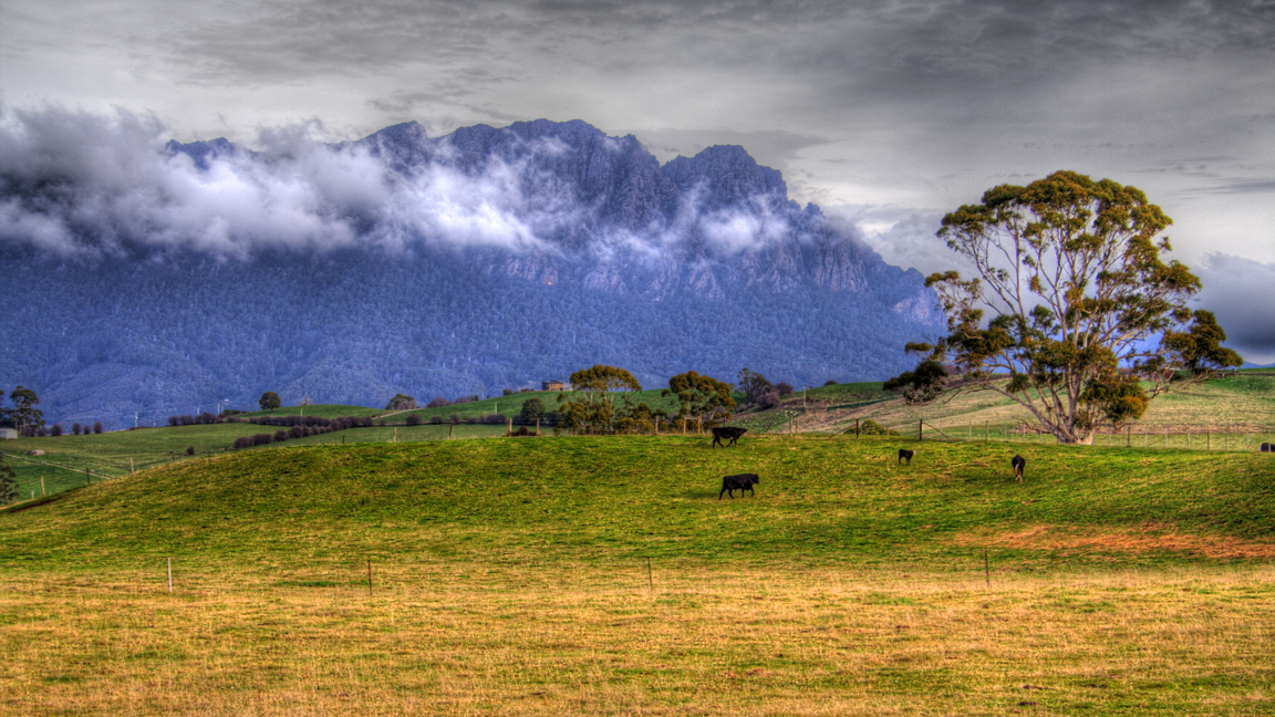 Mt Roland | Mount Roland rises to 1233m providing a dramatic… | Flickr