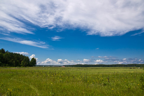 Aš vis dar pamenu tą vasarą | MariukasM.LT