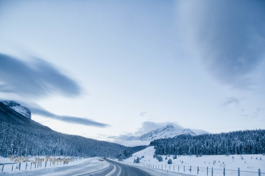 Snowland | The Stentorian Image