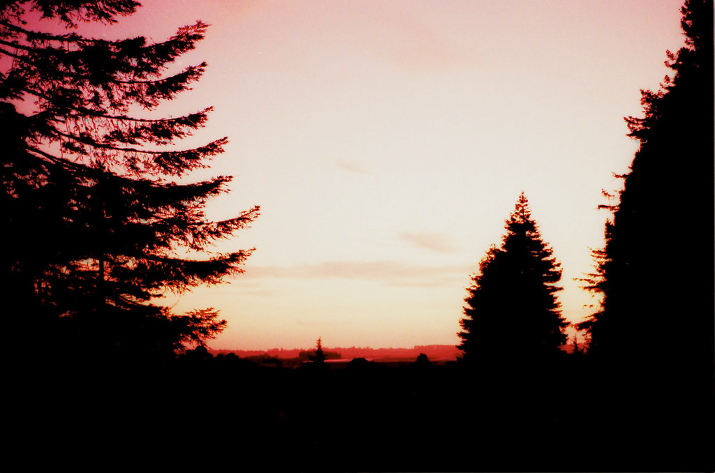 Untitled_8 | .larger size: static.flickr.com/93/220207384_8a… | Flickr